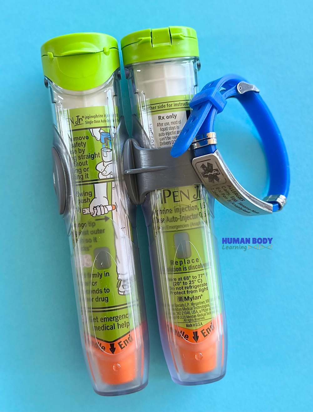 Raising Kids With Food Allergies | Starter Guide for Parents
