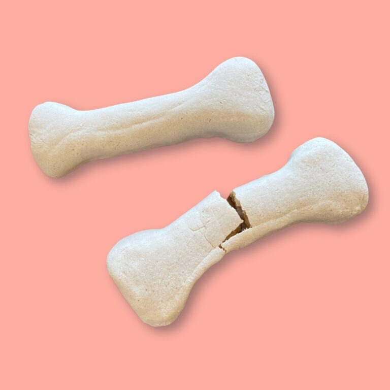 Why Do Bones Break Science Experiment For Kids Why Do Bones Break Science Experiment For Kids