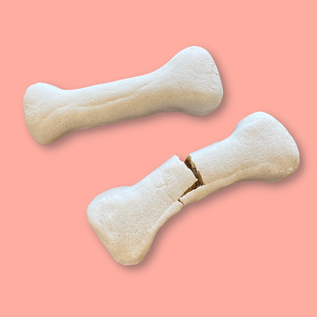 Why Do Bones Break Science Experiment For Kids