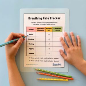 Normal Respiratory Rate and How to Track It
